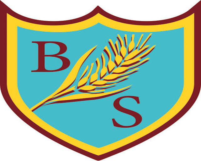 Brandhall Primary School-B68 0ST-families online