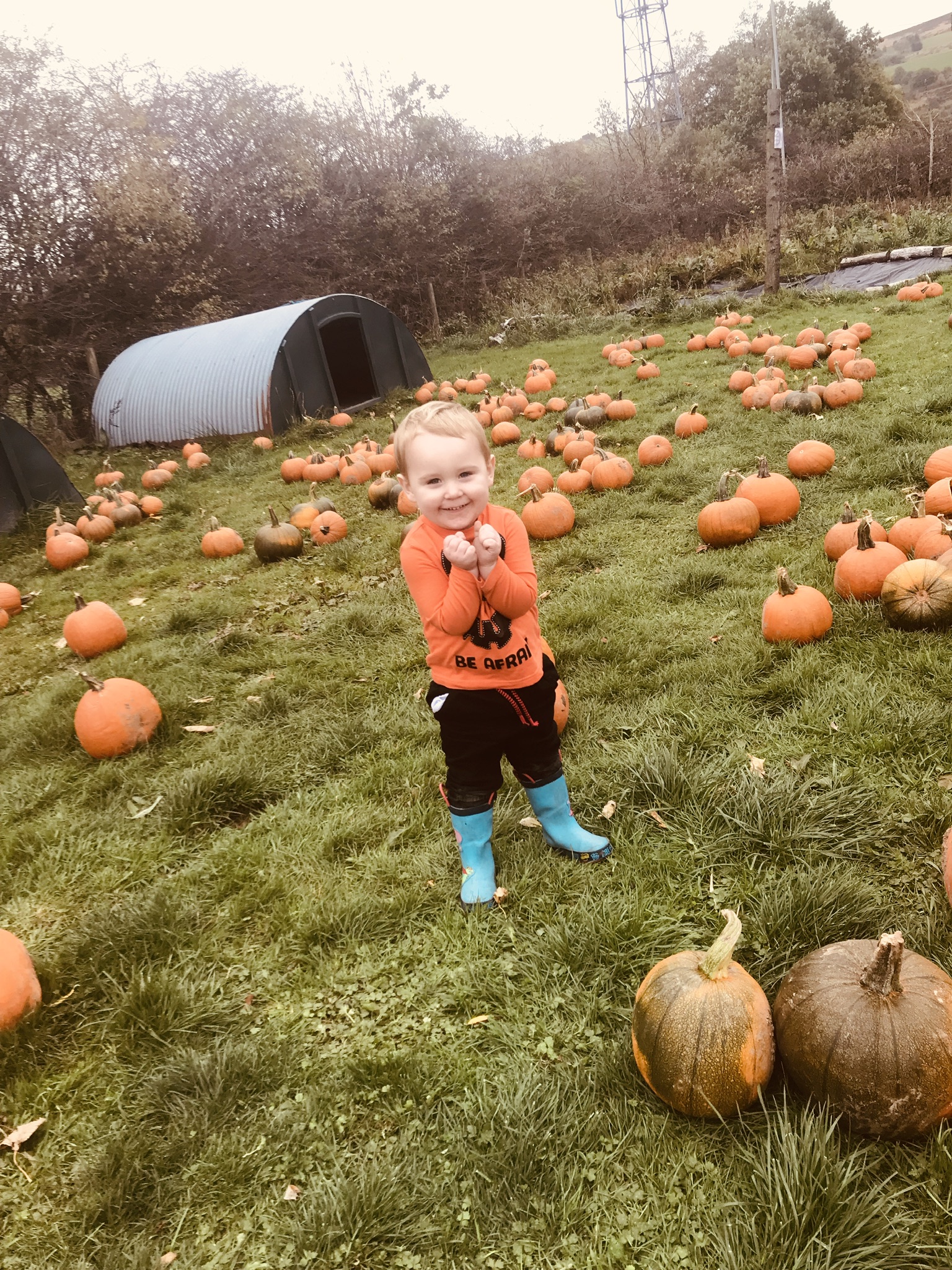 Review of Halloween Pumpkin Festival Cockfields Farm in Oldham by Clare ...